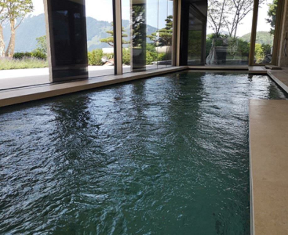 Yüzme havuzları Ld Pool System GmbH, Aşağı Avusturya, foto