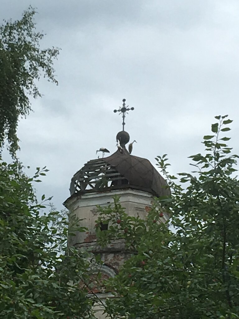 Ortodoks kiliseleri Tserkov Uspeniya Presvyatoy Bogoroditsy V Sadykove, Tverskaya oblastı, foto