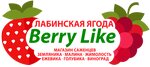 Berry Like (Izyskatelskaya ulitsa No:13), seracılık  Labinsk'ten