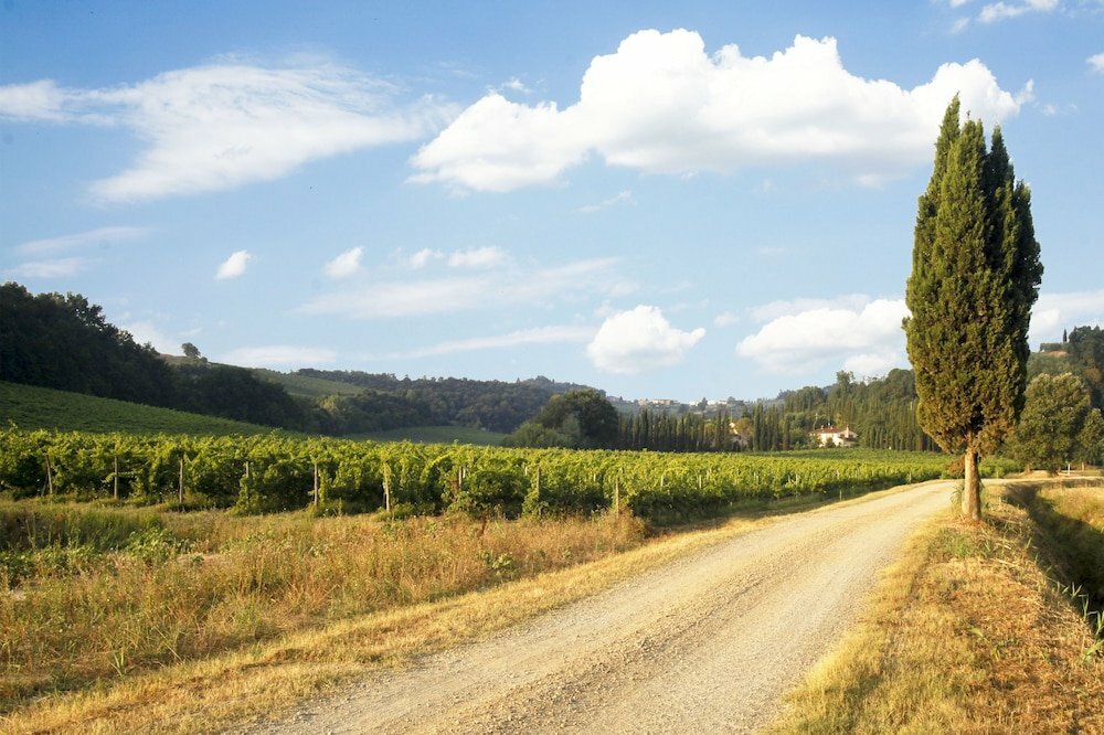 Otel Agriturismo Girasole, Toskana, foto