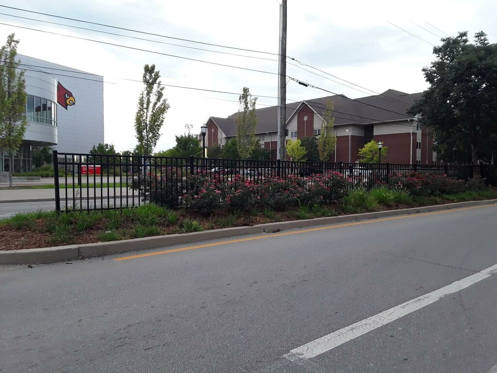 Çitler, parmaklıklar Cardinal Fence & Security, Louisville, foto