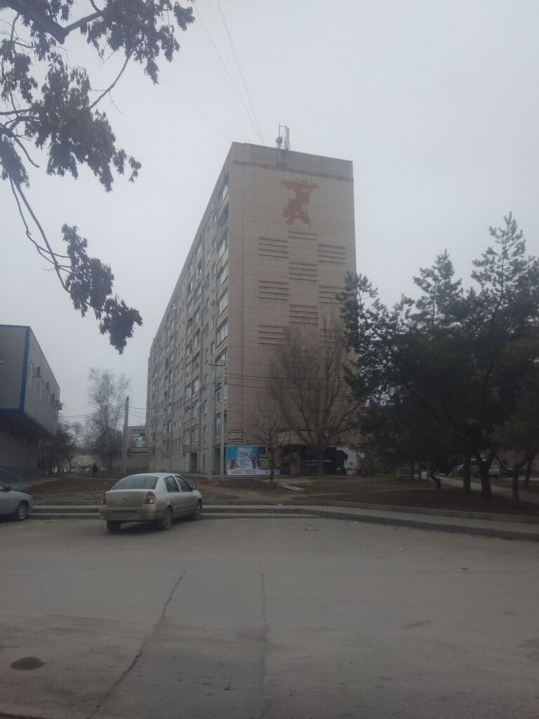 Avukatlar Адвокат, Belaya Kalitva, foto