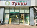 Лечебные травы (Navaginskaya Street No:9Д, Tsentralniy Microdistrict), eczaneler  Soçi'den