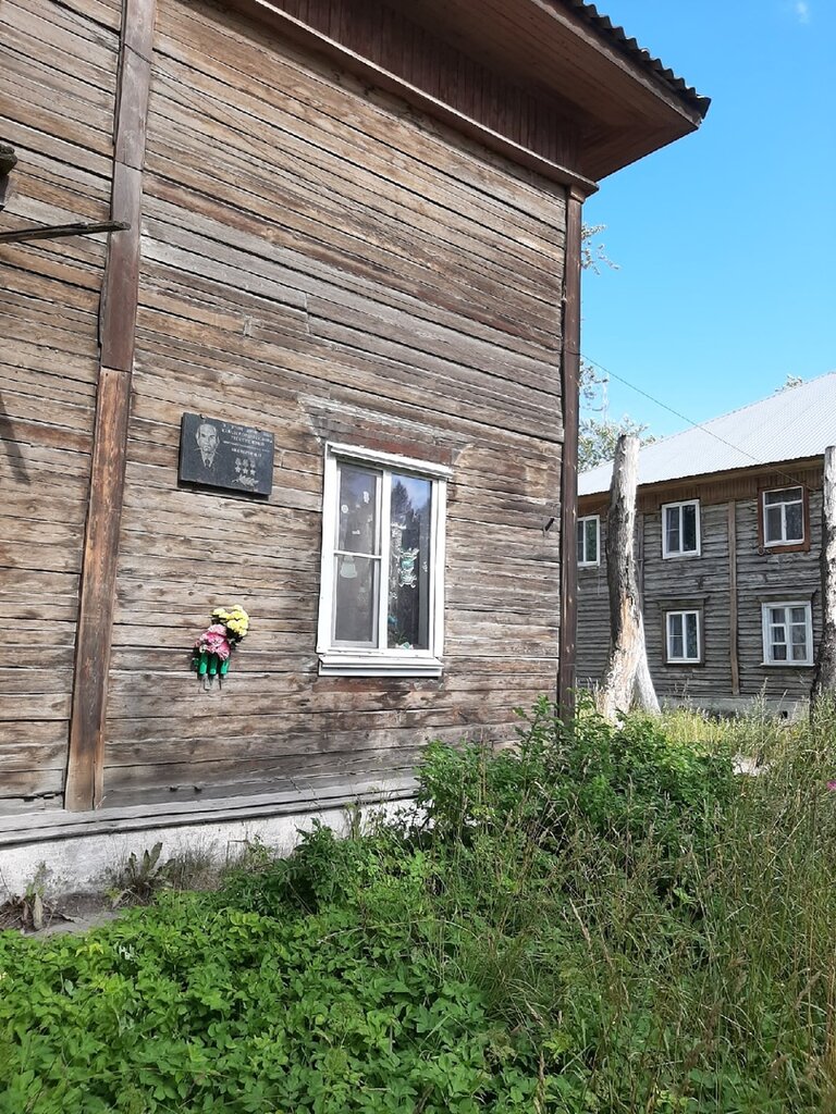 Anıt levhası, anıt taş П.П. Нестеров, Segezha, foto