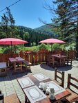 Подкова (Sadovaya ulitsa No:50А), kafe  Taştagol'dan
