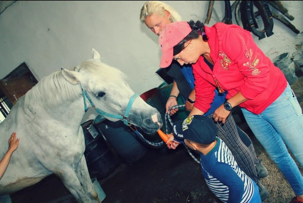 At ve binicilik kulüpleri Konno-sportivny klub Zhokey, Tomsk, foto