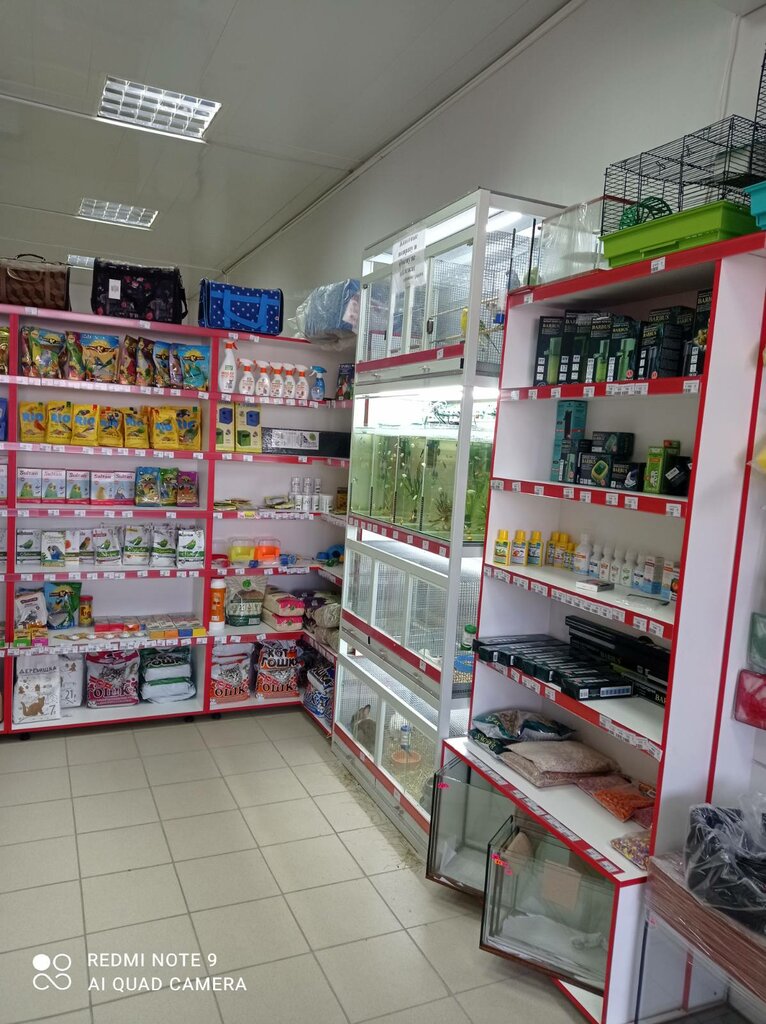 Petshop TerraPet, Brianskaya oblastı, foto