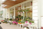 Stil-Blüte, florale Manufaktur (Bahnstraße No:9, Hollabrunn), çiçek teslimatı  Aşağı Avusturya'dan