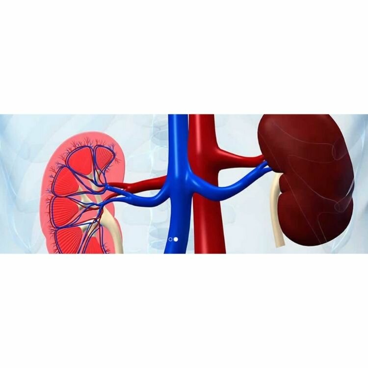 Hastaneler Urocentro Ltda, Barranquilla, foto