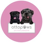 Ottopaws Pet Store (Noter Sok., No:26C, Kadıköy, İstanbul), evcil hayvanlar için ürünler  İstanbul'dan
