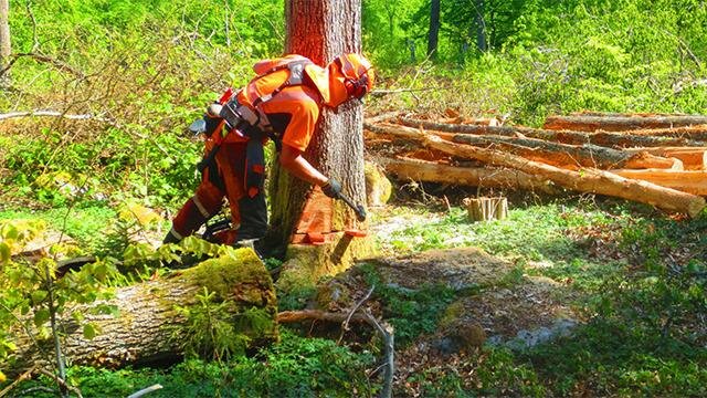 Bahçe ekipmanları ve teknolojileri Strömgren Skog Ab, Dünya, foto