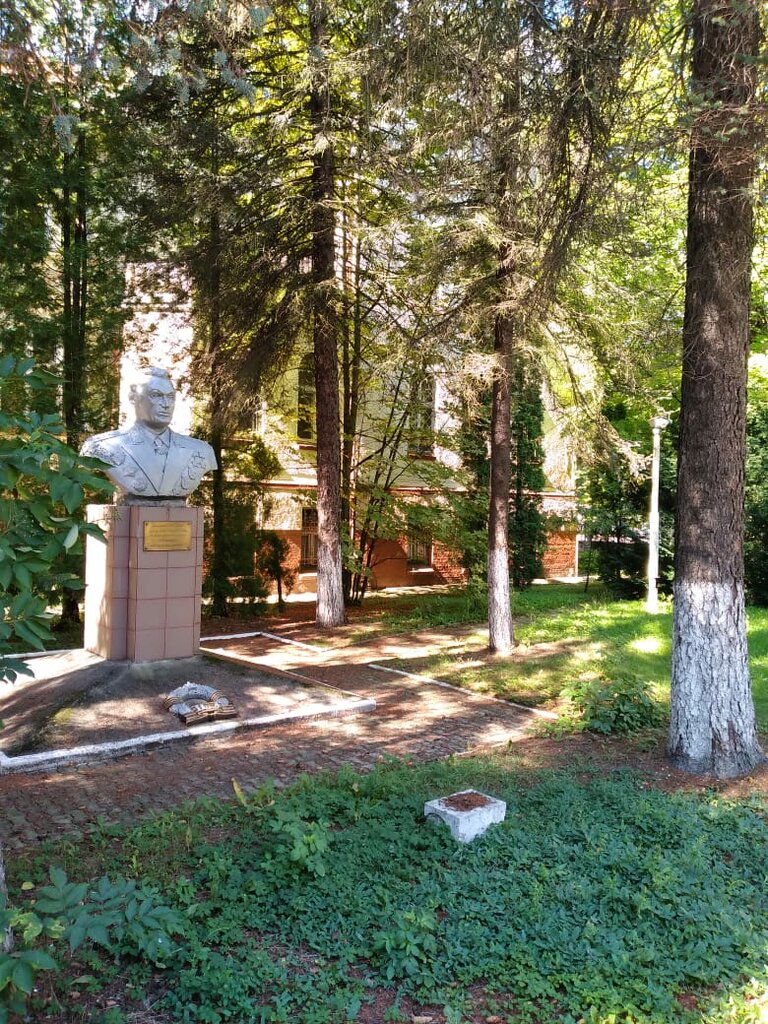 Anıt, heykel К.К. Рокоссовский, Kaliningrad, foto