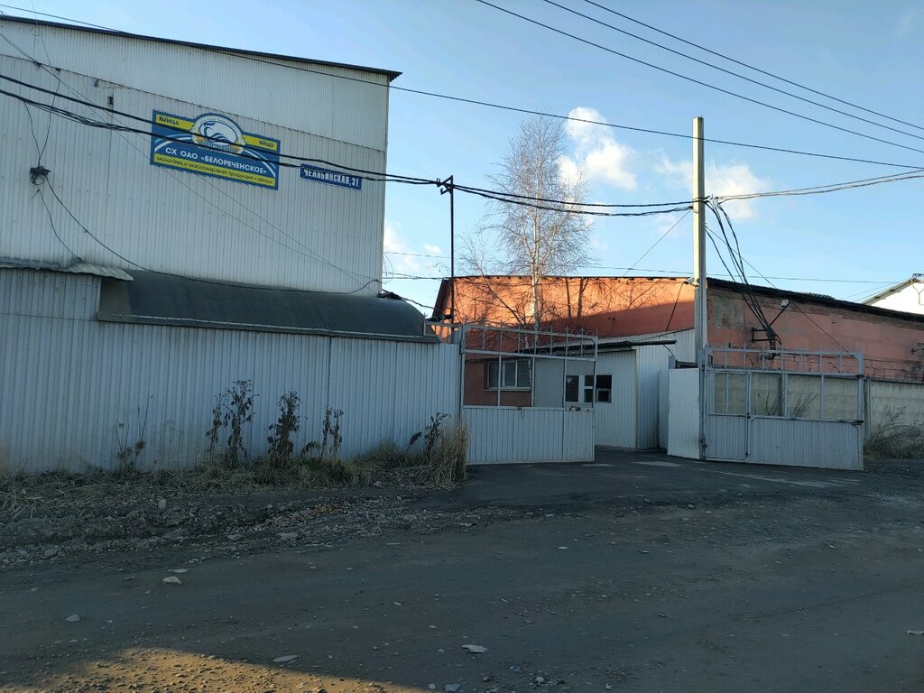 Toptan gıda mağazaları Белореченское, Irkutsk, foto