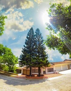Casa Hotel los Pinos (Valle del Cauca, Municipio de Santiago de Cali, Comuna 19, Calle 8 Oeste, 35-27), otel  Cali'den