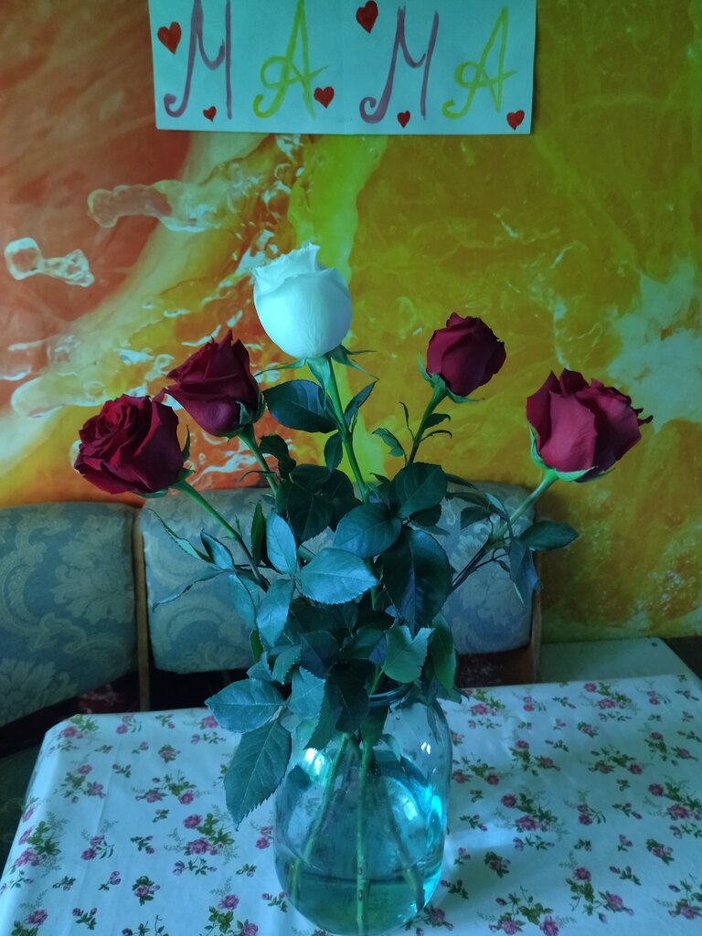 Petshop Экзотика, Tara, foto