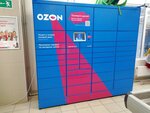 Ozon Box (Zapolyarnaya ulitsa No:41, Prikubanskiy City administrative district, mikrorayon Slavyanskiy), parsel otomatı  Krasnodar'dan
