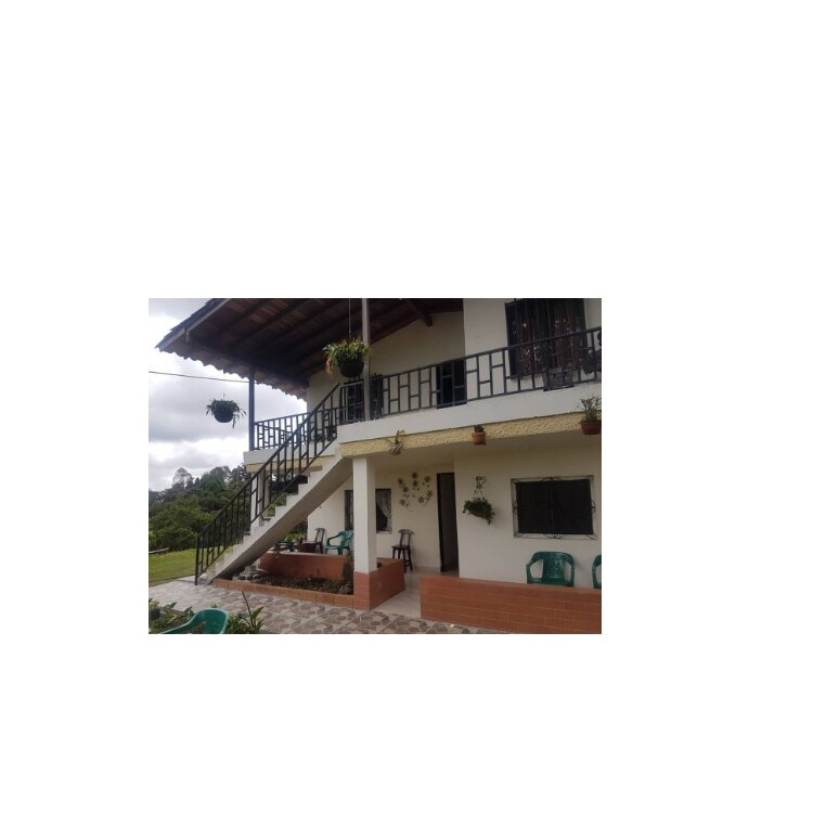 Belediyeler, devlet daireleri Fundación Renovando Tu Mente, , foto