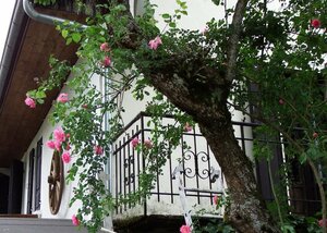 Hotel Auberge Camelia (Auvergne-Rhône-Alpes, Haute-Savoie, Arrondissement d'Annecy, Aviernoz, Route de Villaz, 406), otel