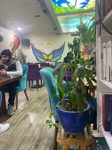 Meydan Cafe (İstanbul, Esenyurt, Fatih Mah., Ondokuz Mayıs Blv., 3B), kafe  İstanbul'dan