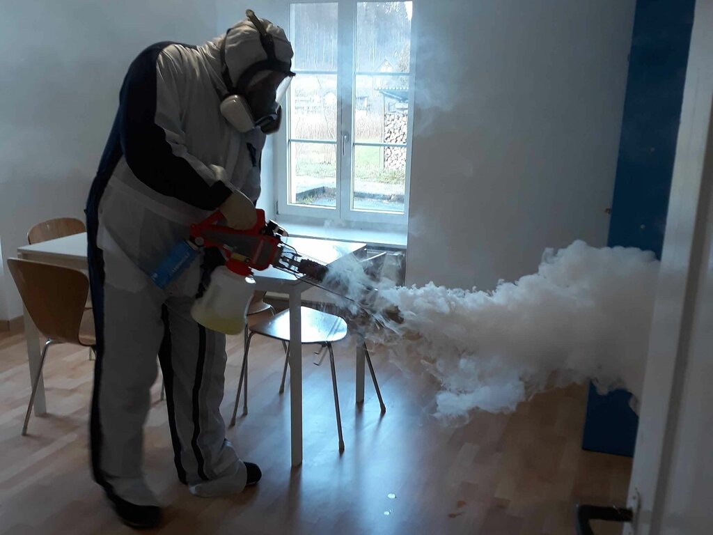 Haşere ilaçlama firmaları Kammerjäger Sterillion S. à r. l Inh. Rene Lusiak, Wuppertal, foto
