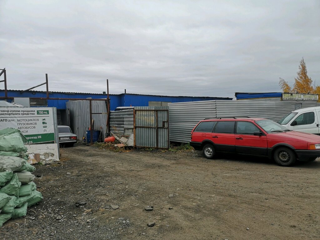 Otomobil servisi АвтоСаша, Kudrovo, foto