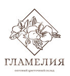 Glameliya (Berezhkovskaya Embankment No:12Ас5), çiçekçiler  Moskova'dan