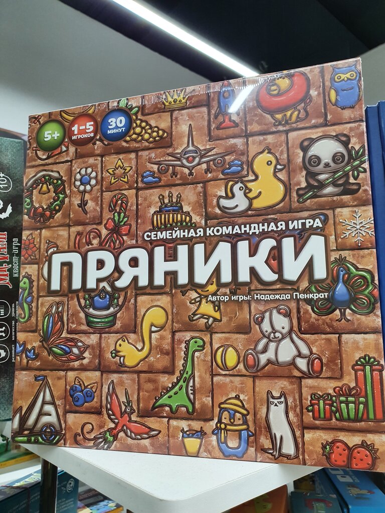 Masa oyunları ve zeka geliştirici oyunlar Moy Rebus, Astrahan, foto
