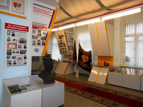 Müzeler ve sanat galerileri Department of Local History of the Central Library, Voskresensk, foto
