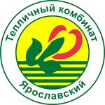 Yaroslavsky Greenhouse (ulitsa Lenina No:22, posyolok Dubki), seracılık  Yaroslavskaya oblastından