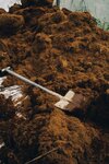 Biopower Schürch AG (Bern, Aarwangen, Steingasse, 28), petrol ve gaz firması  Bern'den