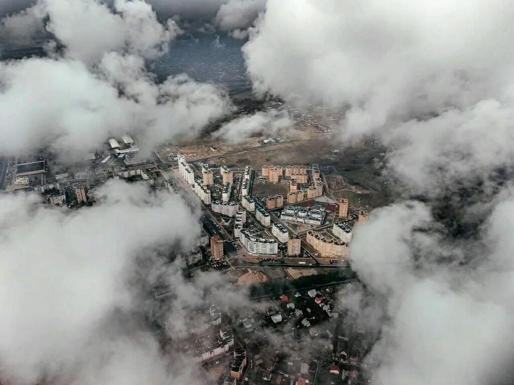 Müzayede firmaları LLC ArtPostavka, Stariy Oskol, foto
