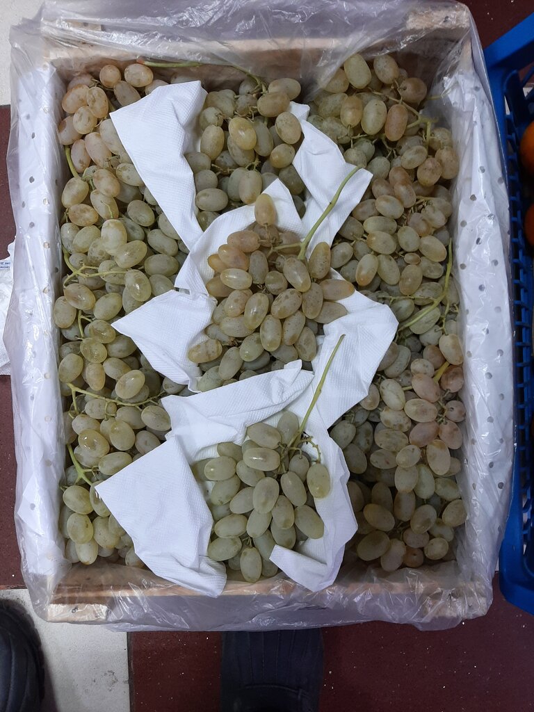 Gıda pazarı Chekmagushevsky rynok, Mup, Başkurdistan, foto