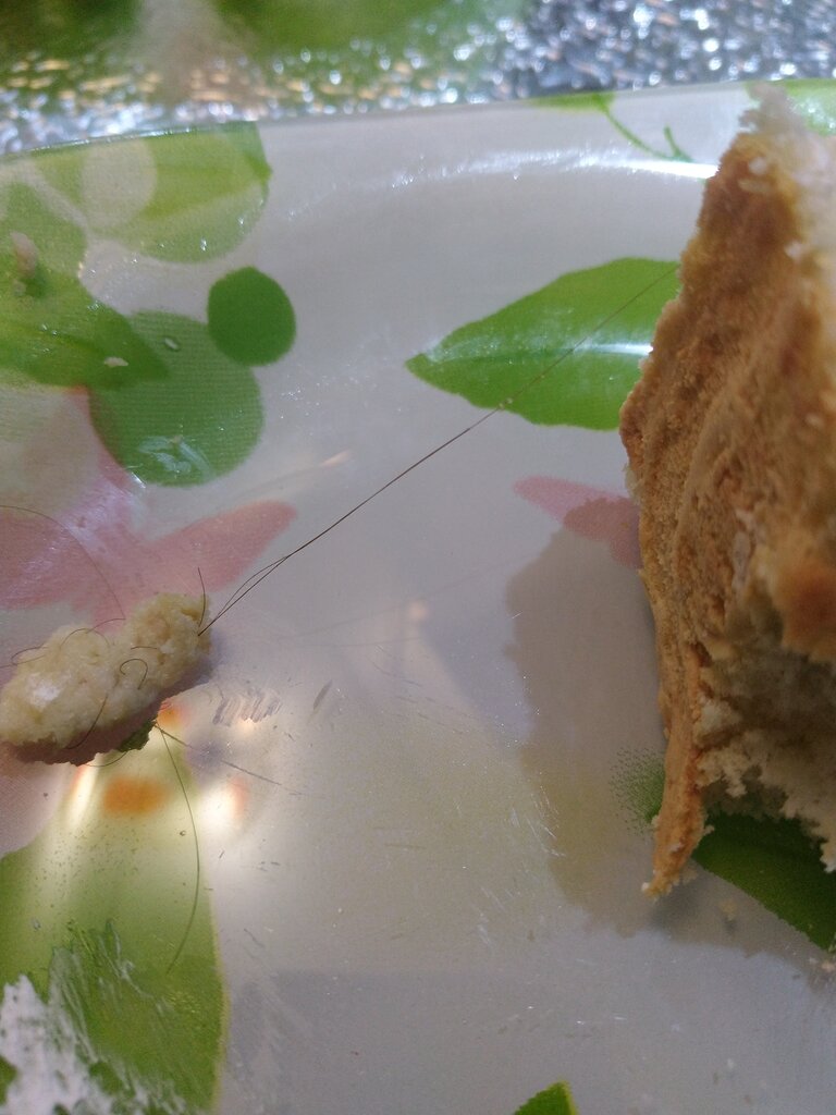 Ekmek fırını Marchuktm, Angarsk, foto