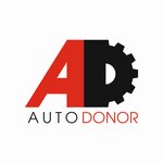 Autodonor (Arkhitektora Sviyazeva Street No:43), direksiyon kremayeri tamiri  Perm'den