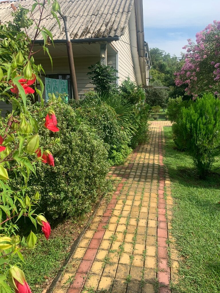 Otel Бамбук, Gagra Bölgesi, foto