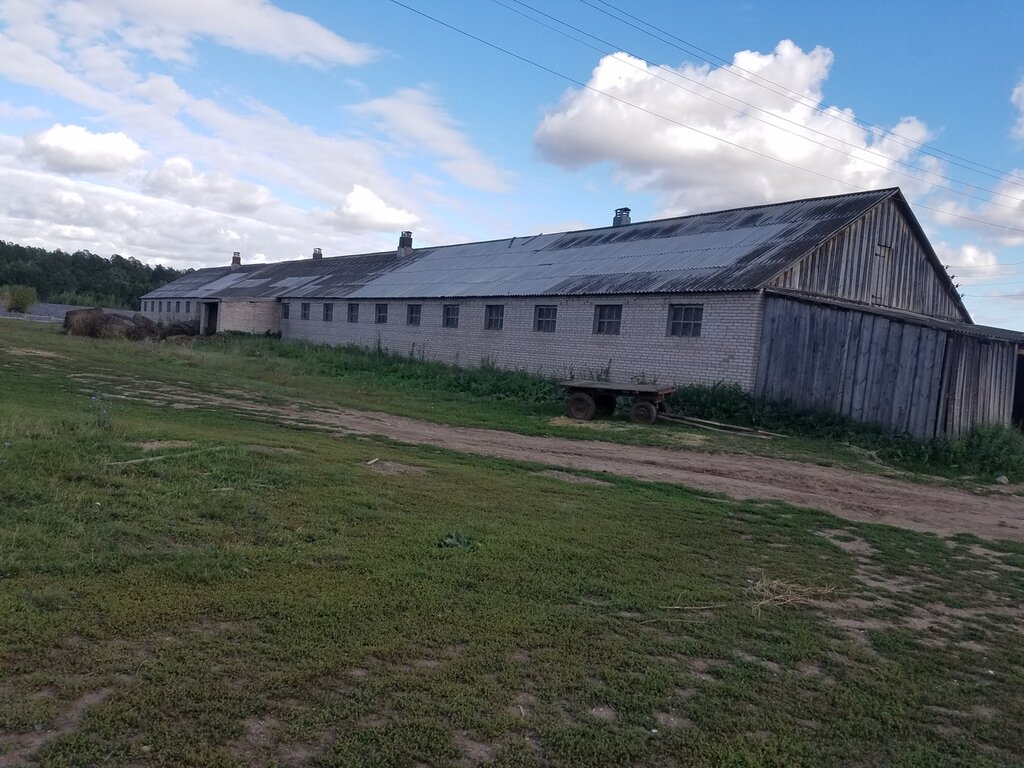 Tarım firmaları Конный племзавод Граховский, Udmurtiya, foto