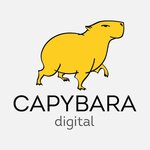 Capybara digital (Stara Zagora Street No:27, Samara), bilişim firmaları  Samara'dan