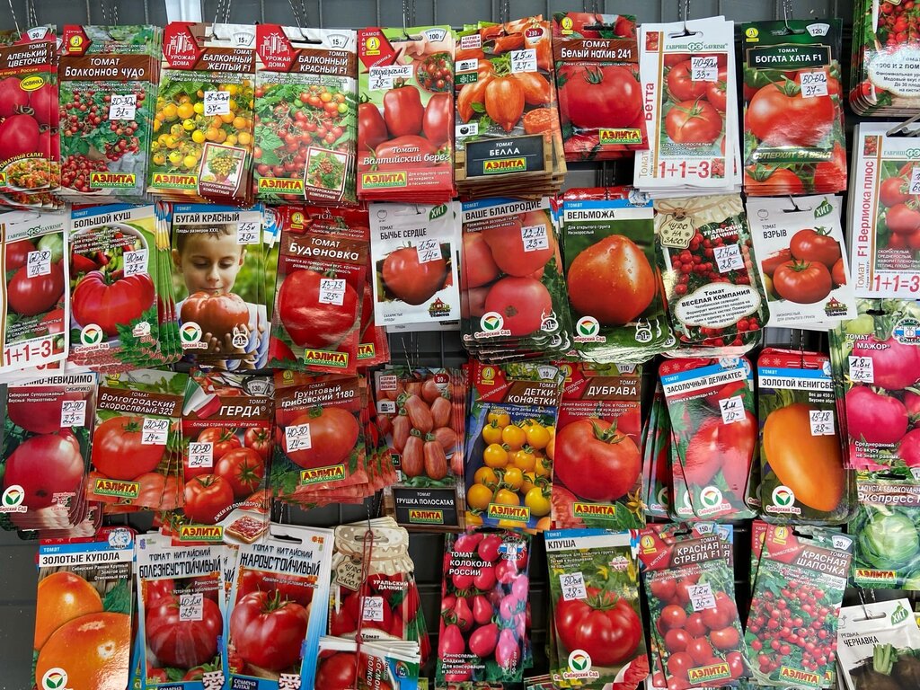 Tohum satan yerler Удачи на даче, Velikiy Novgorod, foto