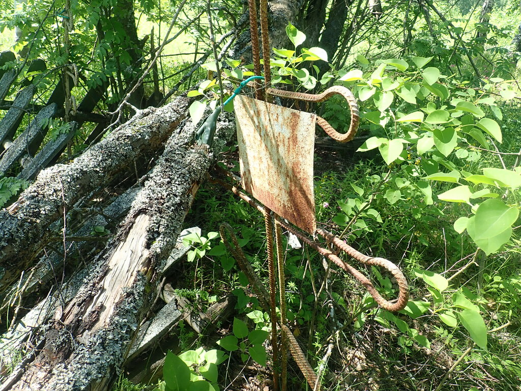 Mezarlıklar Ломковское кладбище, Vladimirskaya oblastı, foto