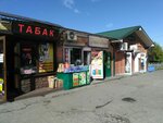 Воды оптом (Vaso Abaeva Street No:108), vitamin bar  Vladikavkaz'dan