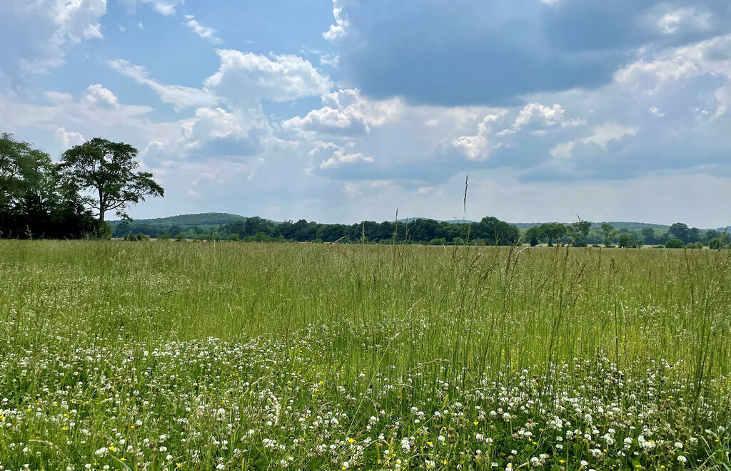 Arazi dizisi Del Webb Southern Harmony- 55+ Retirement Community, Tennessee Eyaleti, foto