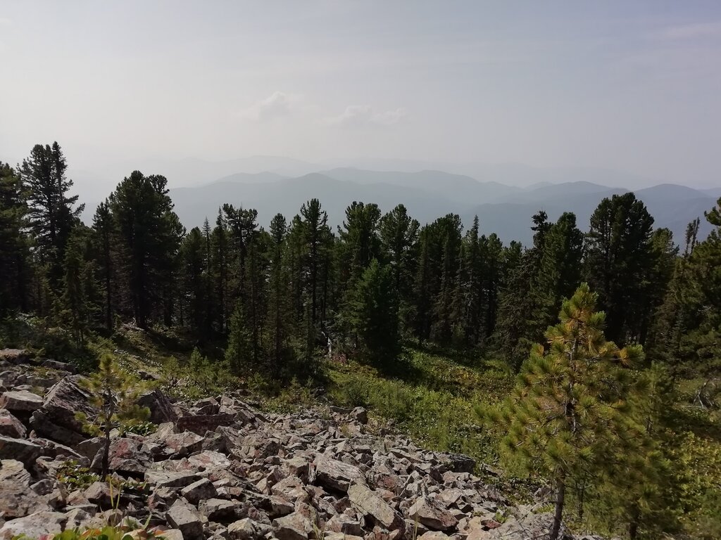 Dağ zirvesi Гора Арча, Altay Cumhuriyeti, foto