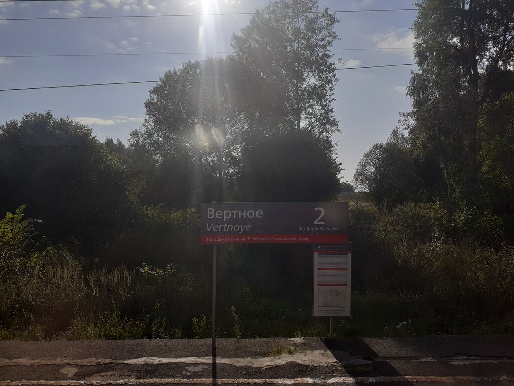 Tren istasyonu Vyortnoye, Kalujskaya oblastı, foto