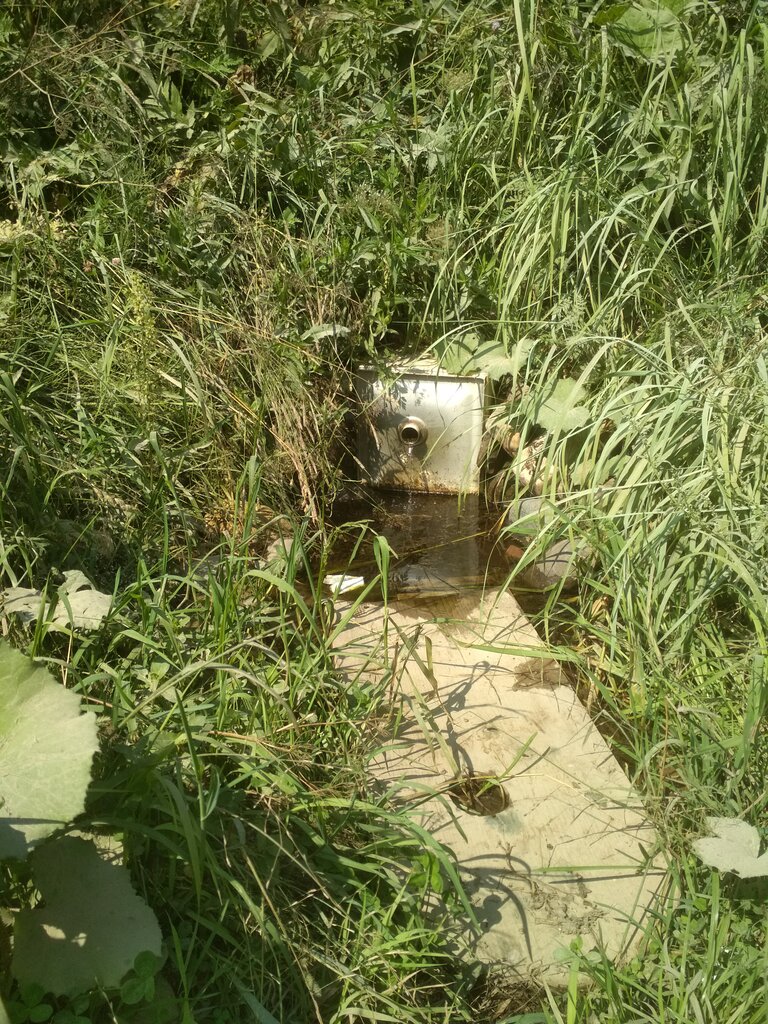 Pınar, çay Spring, stream, Vologodskaya oblastı, foto