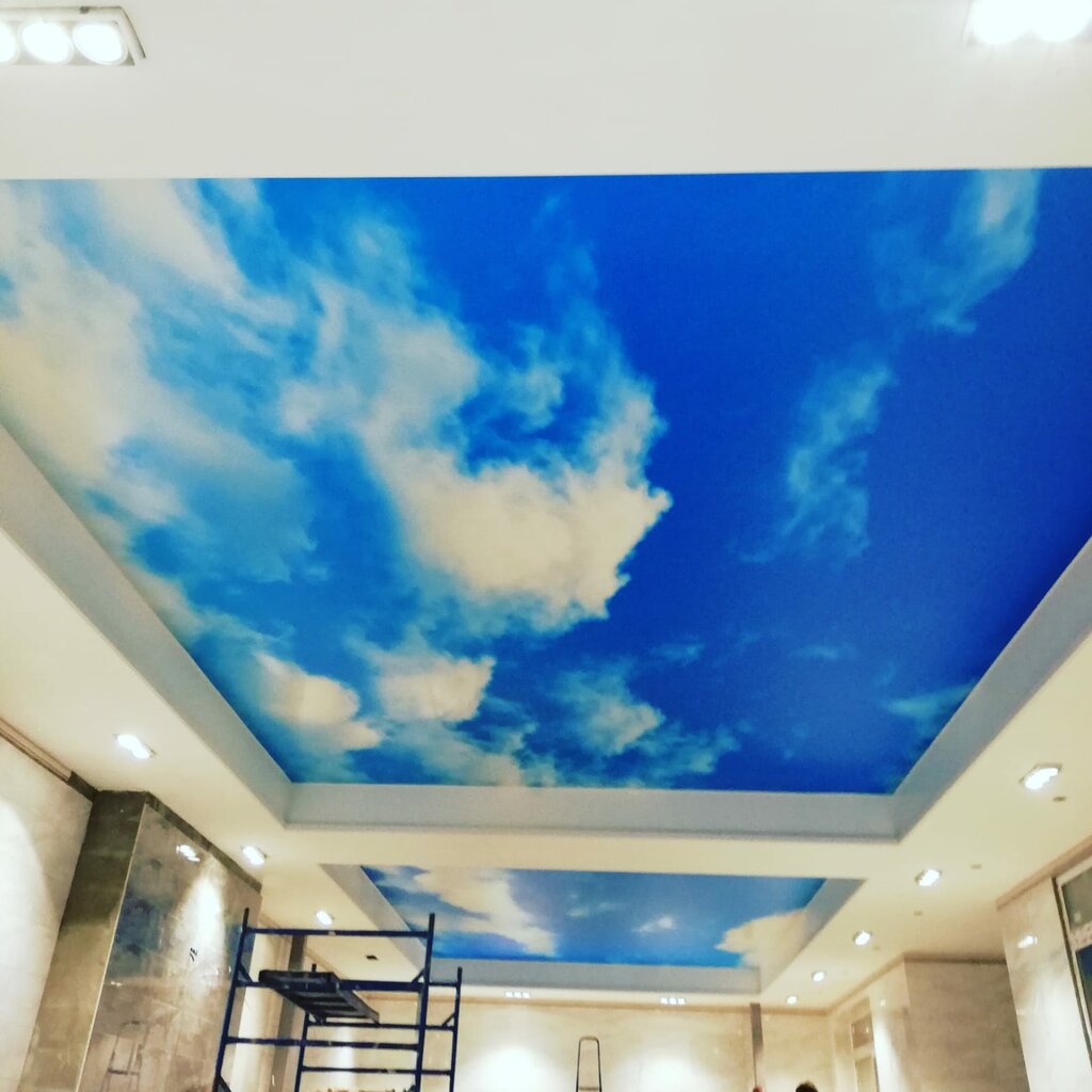 Tavan sistemleri ProSvet-NP, Puşkino, foto