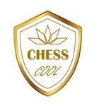 Chess Cool (Navaginskaya Street No:7, Tsentralniy Microdistrict), spor okulları  Soçi'den