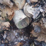 источник Бекет-ключ (Nizhniy Novgorod Region, Pavlovskiy munitsipalny okrug, Vorsma), pınar, çay  Vorsma'dan