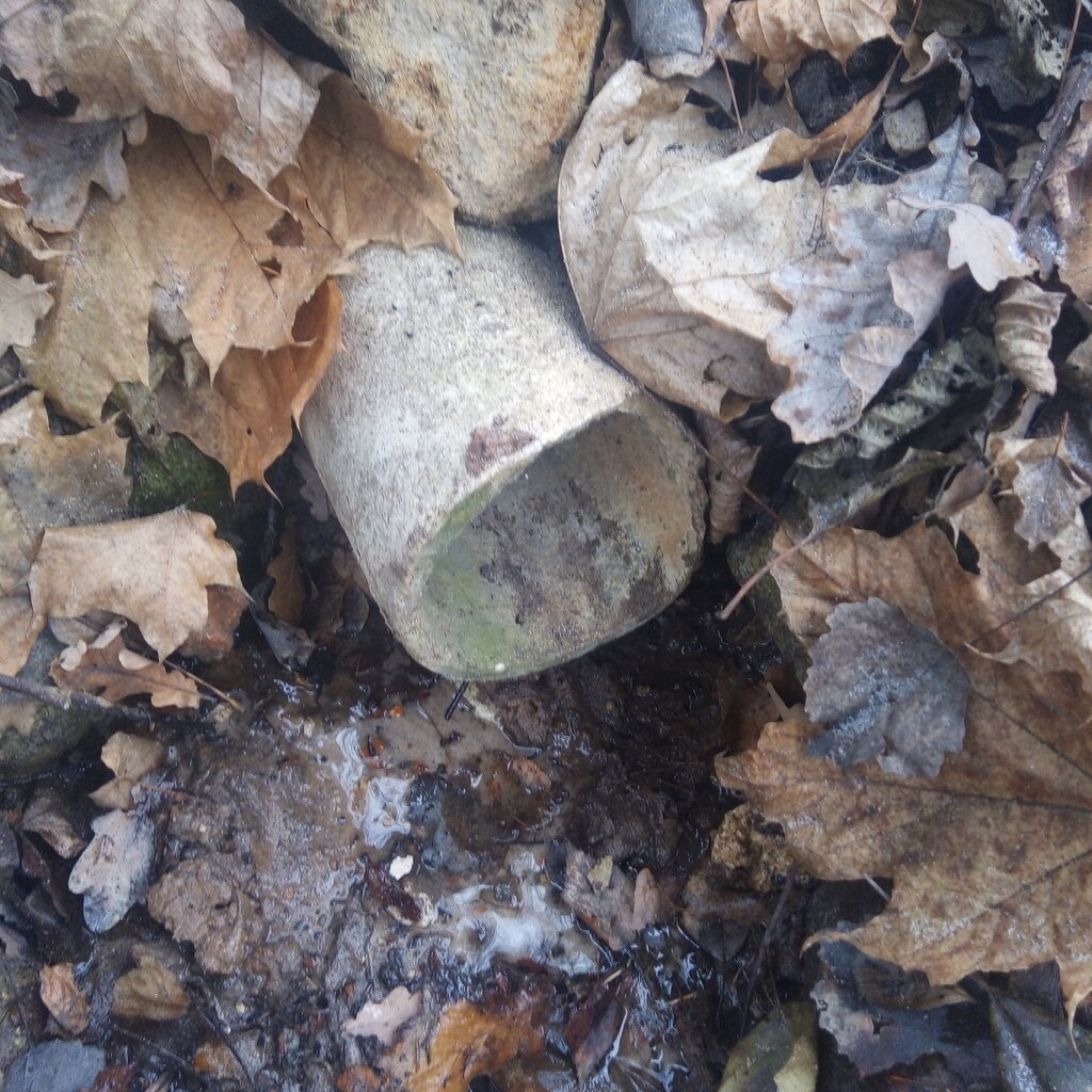 Pınar, çay источник Бекет-ключ, Vorsma, foto