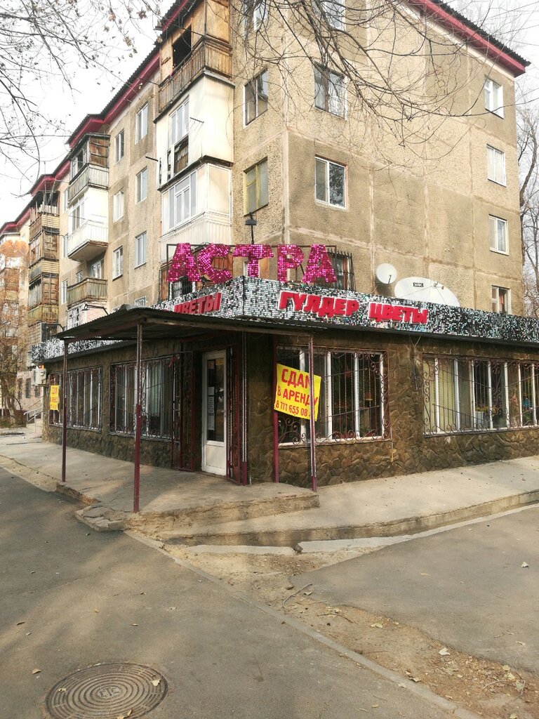 Çiçekçiler Astra, Taraz, foto