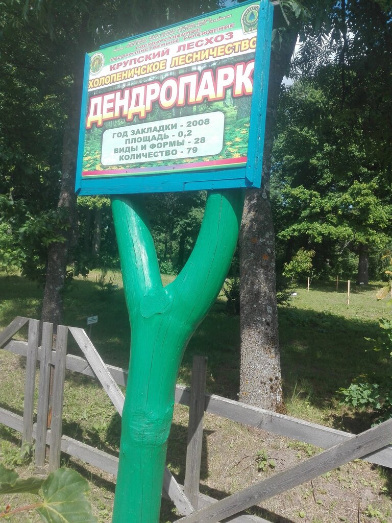 Kültür ve eğlence parkları Дендропарк, Minskaya oblastı, foto